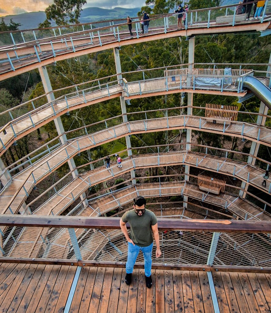 Avondale Forest Park: Parking, Treetop Walk & Useful Info