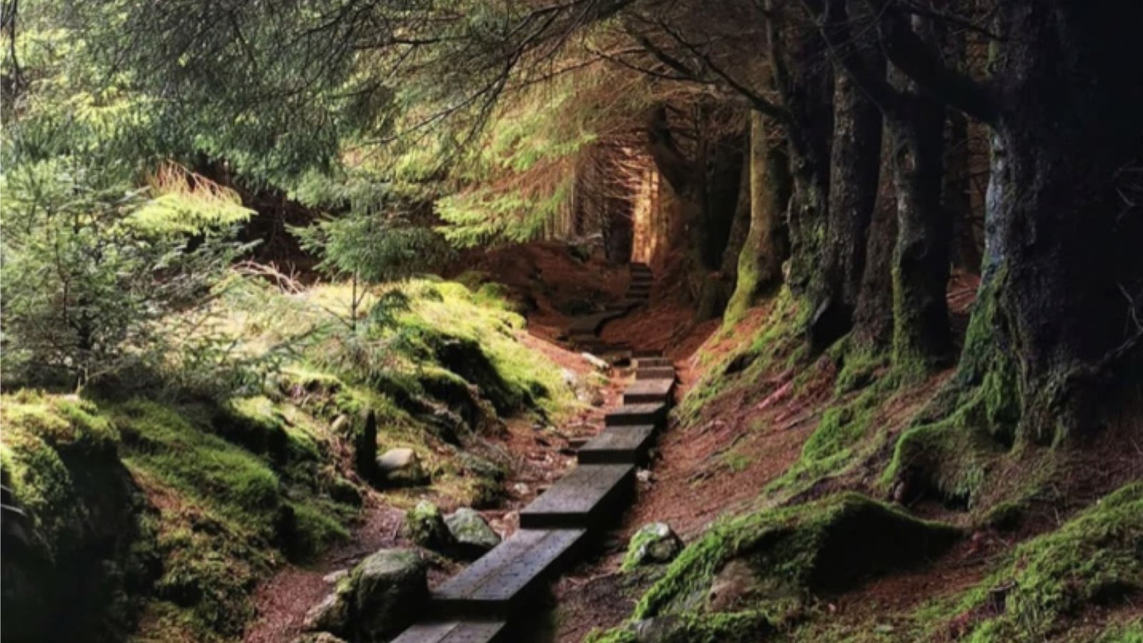 13 Best Hikes In Dublin