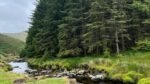 Lough Ouler (Heart Shaped Lake Wicklow): Trails Guide