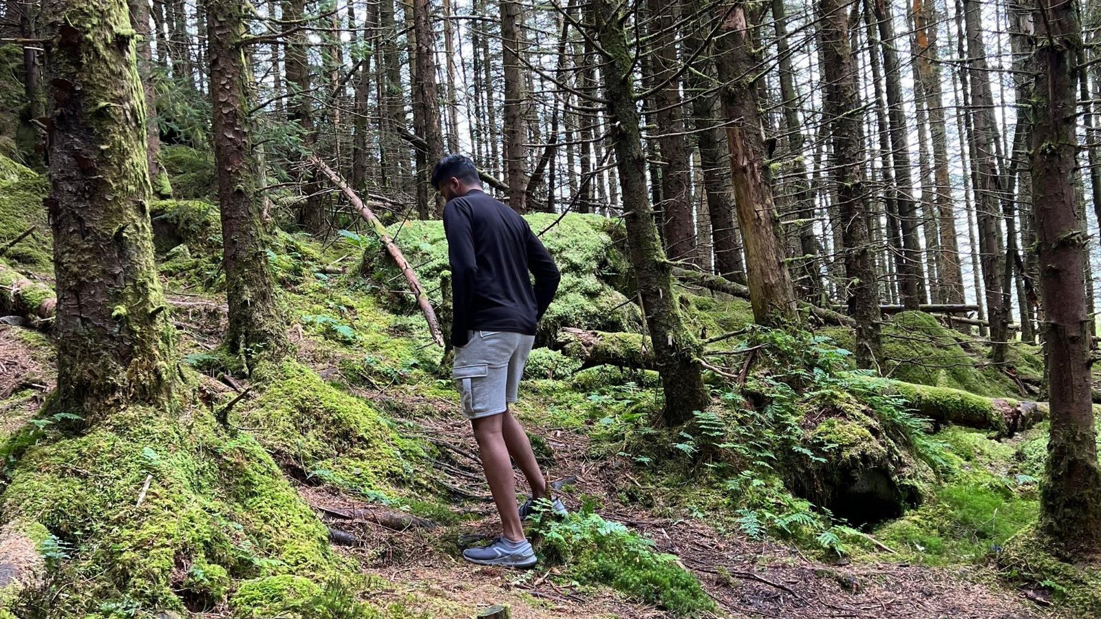 Lough Ouler (Heart Shaped Lake Wicklow): Trails Guide