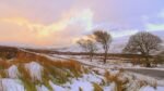 Sally Gap Drive Wicklow: Best Stops, Tips & Key Attractions