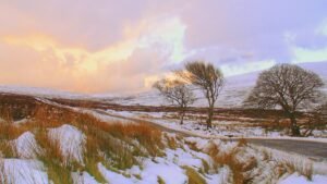 Sally Gap Drive Wicklow: Best Stops, Tips & Key Attractions