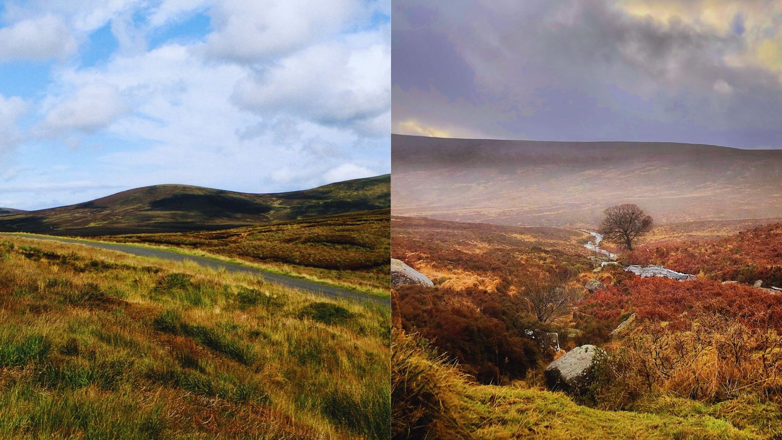 Sally Gap Drive Wicklow: Best Stops, Tips & Key Attractions