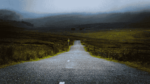 Sally Gap Drive Wicklow: Best Stops, Tips & Key Attractions