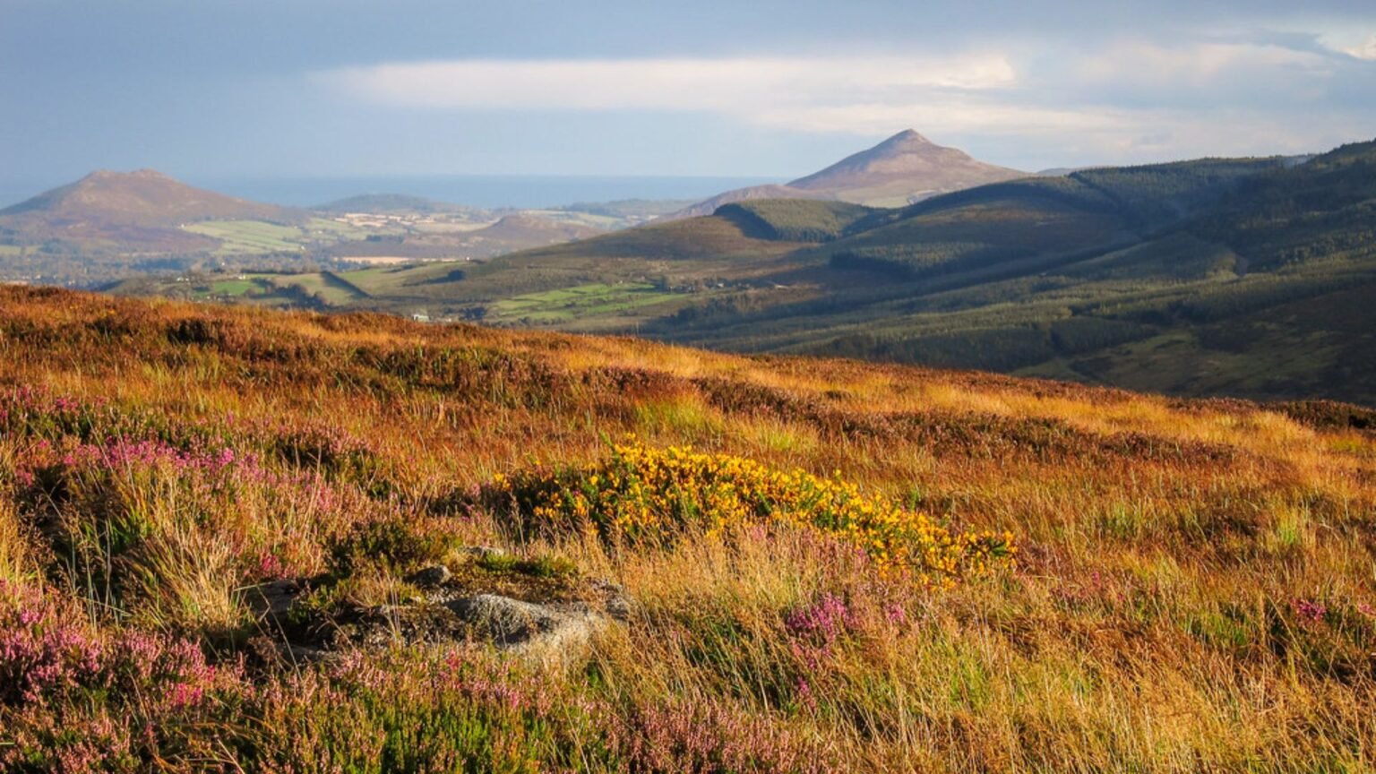 Sally Gap Drive Wicklow: Best Stops, Tips & Key Attractions